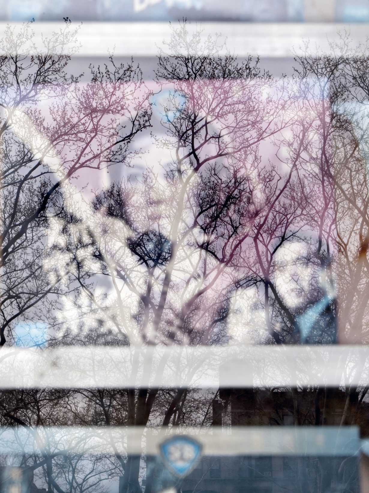 Barb Choit: Fade Diary - ArtReview