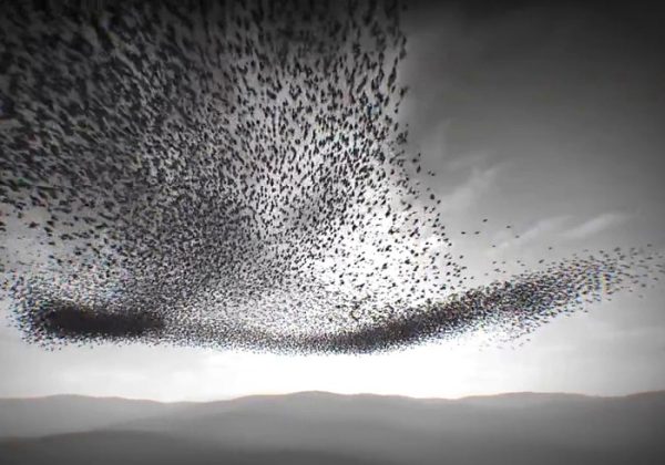 TONIGHT: Wendy Wheeler on biosemiotics and art - ArtReview