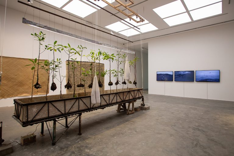 Artist Martha Atienza and the Fight for Environmental Justice in the ...