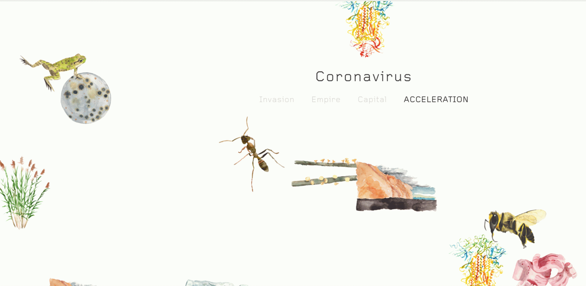 Disaster Tourism: the World According to Feral Atlas - ArtReview