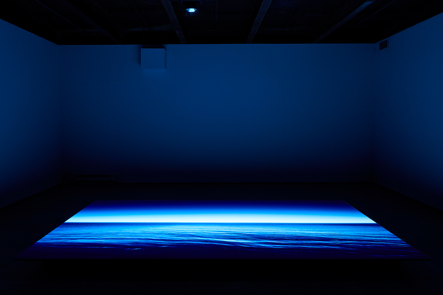 ‘The Most Liberatory Thing We’ve Got’: How Artist Rindon Johnson Uses ...