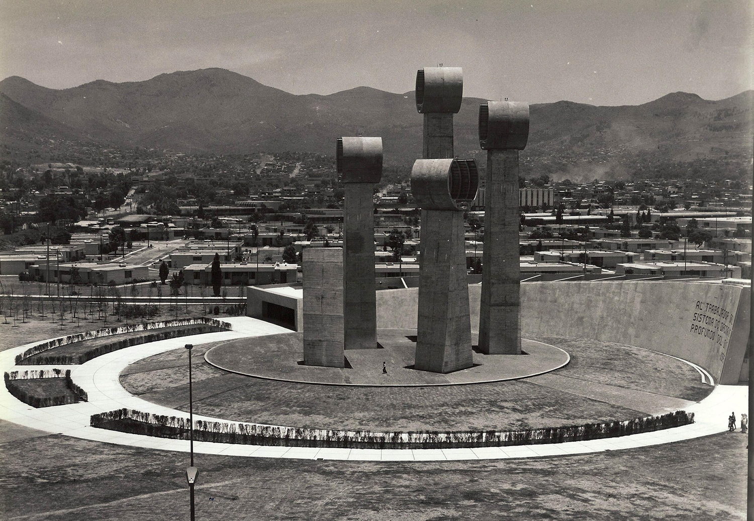 Why Angela Gurría Chose the Natural World Over the Artworld - ArtReview