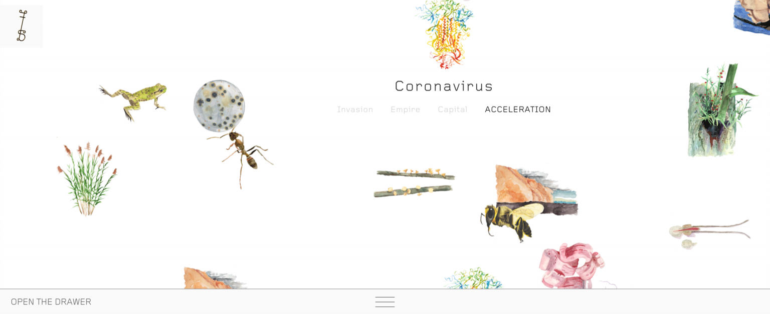 Anna L. Tsing on Creating ‘Wonder in the Midst of Dread’ - ArtReview