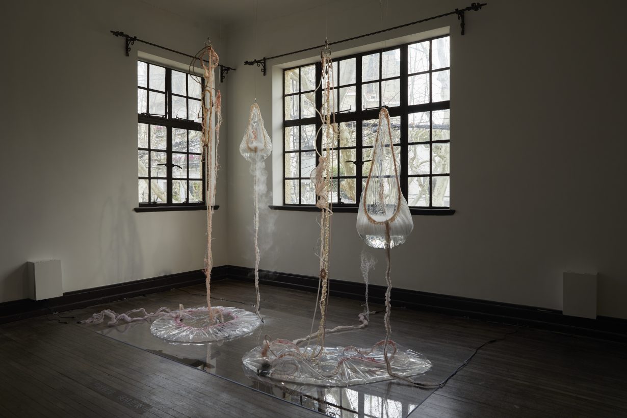Fatal Attraction: Shao Chun’s Hybrid Lifeforms - ArtReview