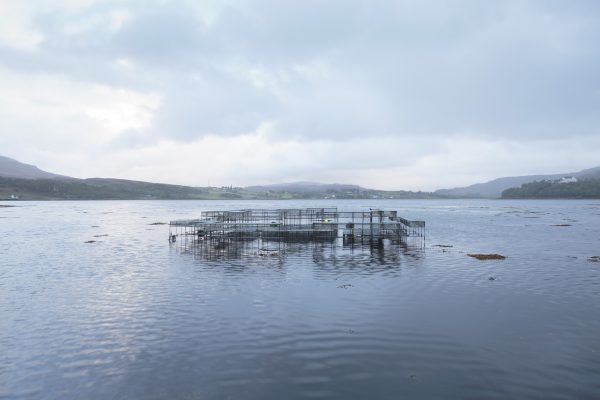 The Boschian Horror of ‘Elden Ring’ - ArtReview