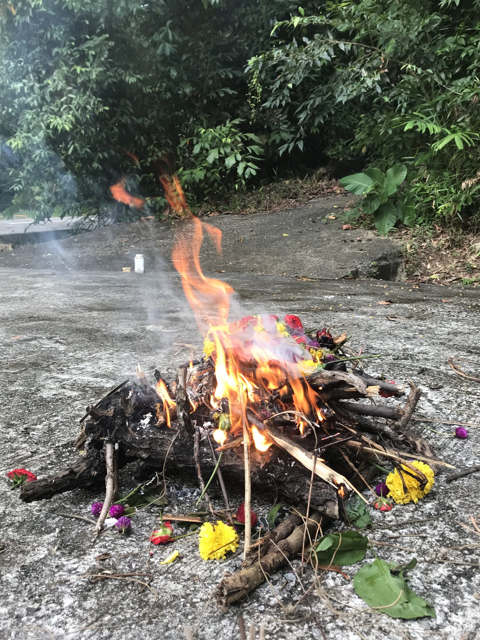 Zarina Muhammad’s Ecofeminist Sorcery - ArtReview