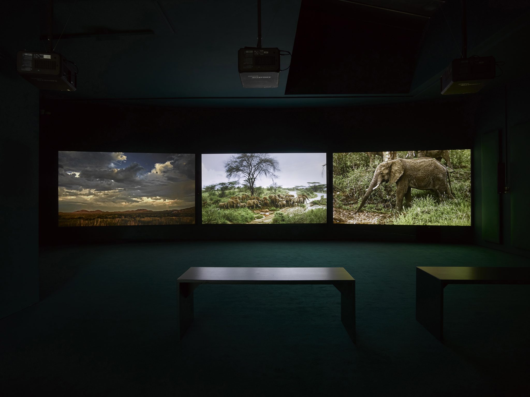 John Akomfrah to represent UK at the Venice Biennale - ArtReview