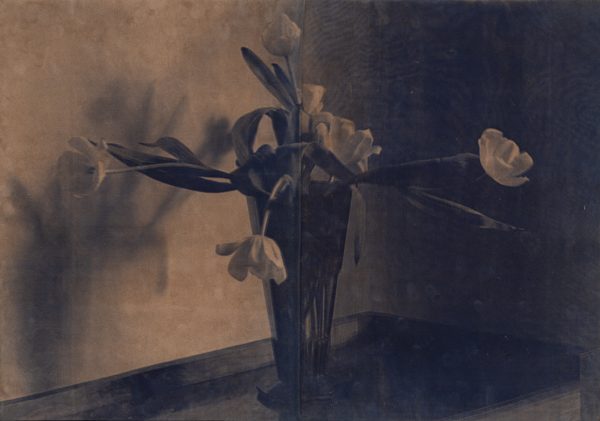 The Fetishistic Still Lifes of Poppy Jones - ArtReview