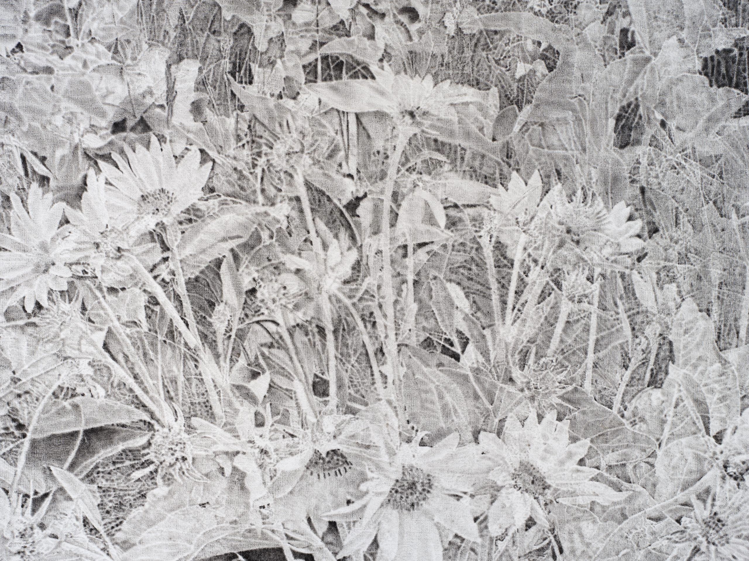 James Chronister Doesn’t Paint Landscapes - ArtReview