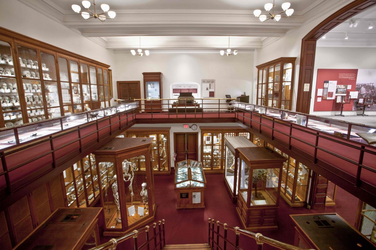 Bring Up the Bodies at the Mütter Museum - ArtReview