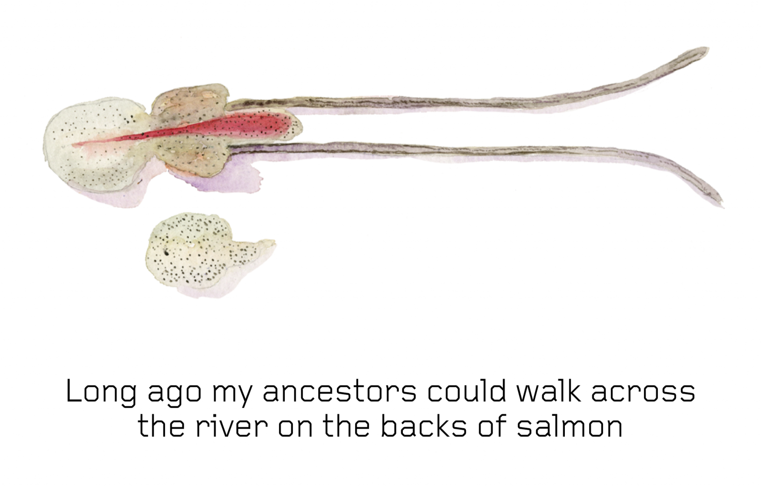 Feral Atlas: An Artist Project for ArtReview December 2023 - ArtReview