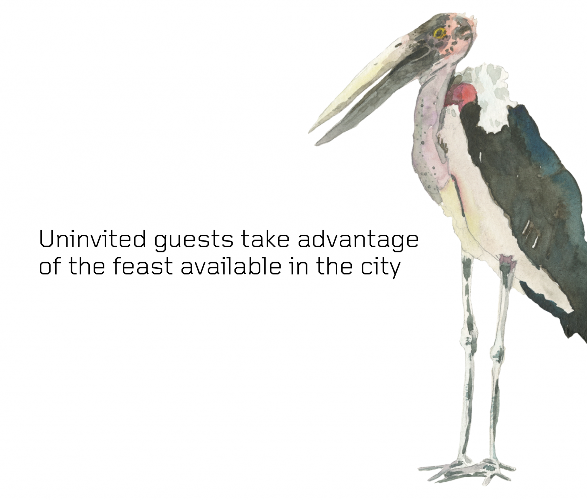 Feral Atlas: An Artist Project for ArtReview December 2023 - ArtReview