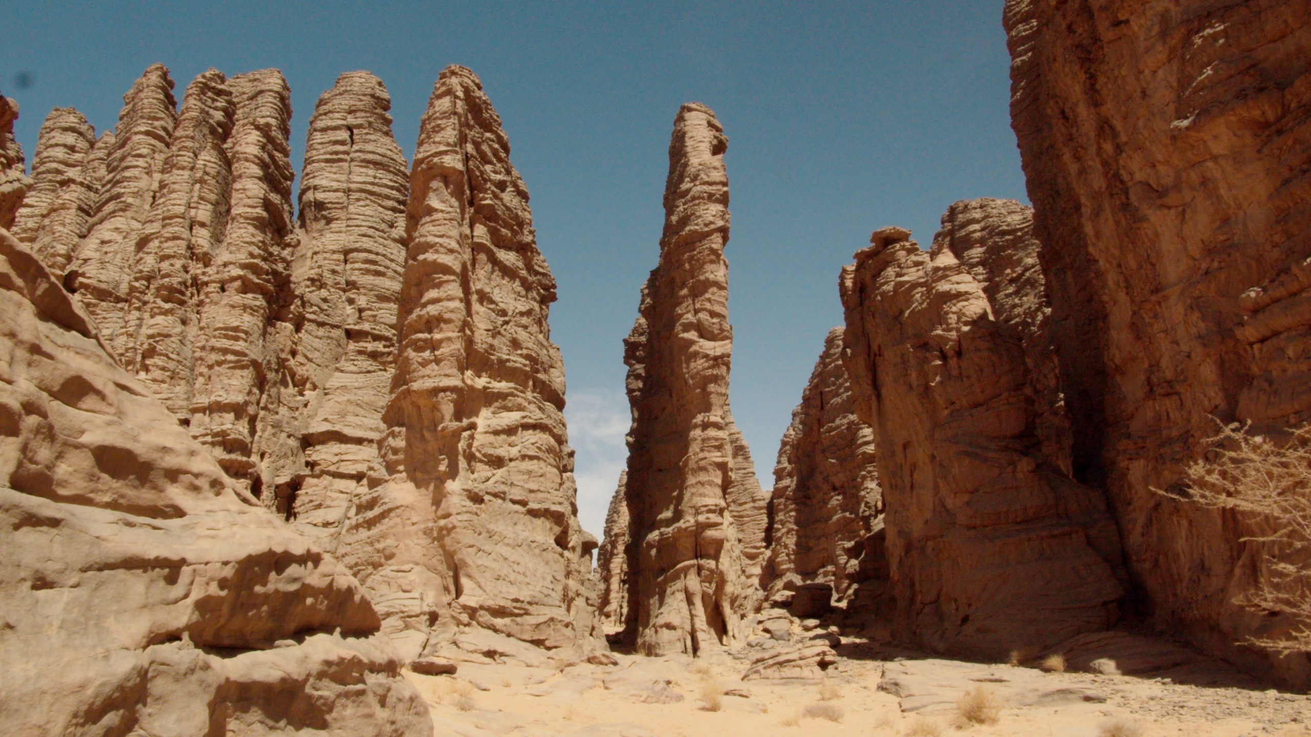 Take Me to Tassili - ArtReview