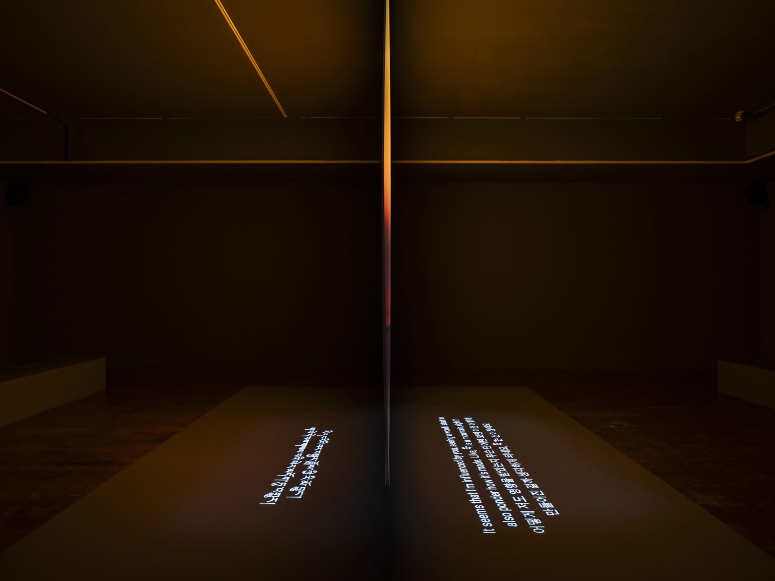 12th Seoul Mediacity Biennale Review: ‘Save the World’ - ArtReview