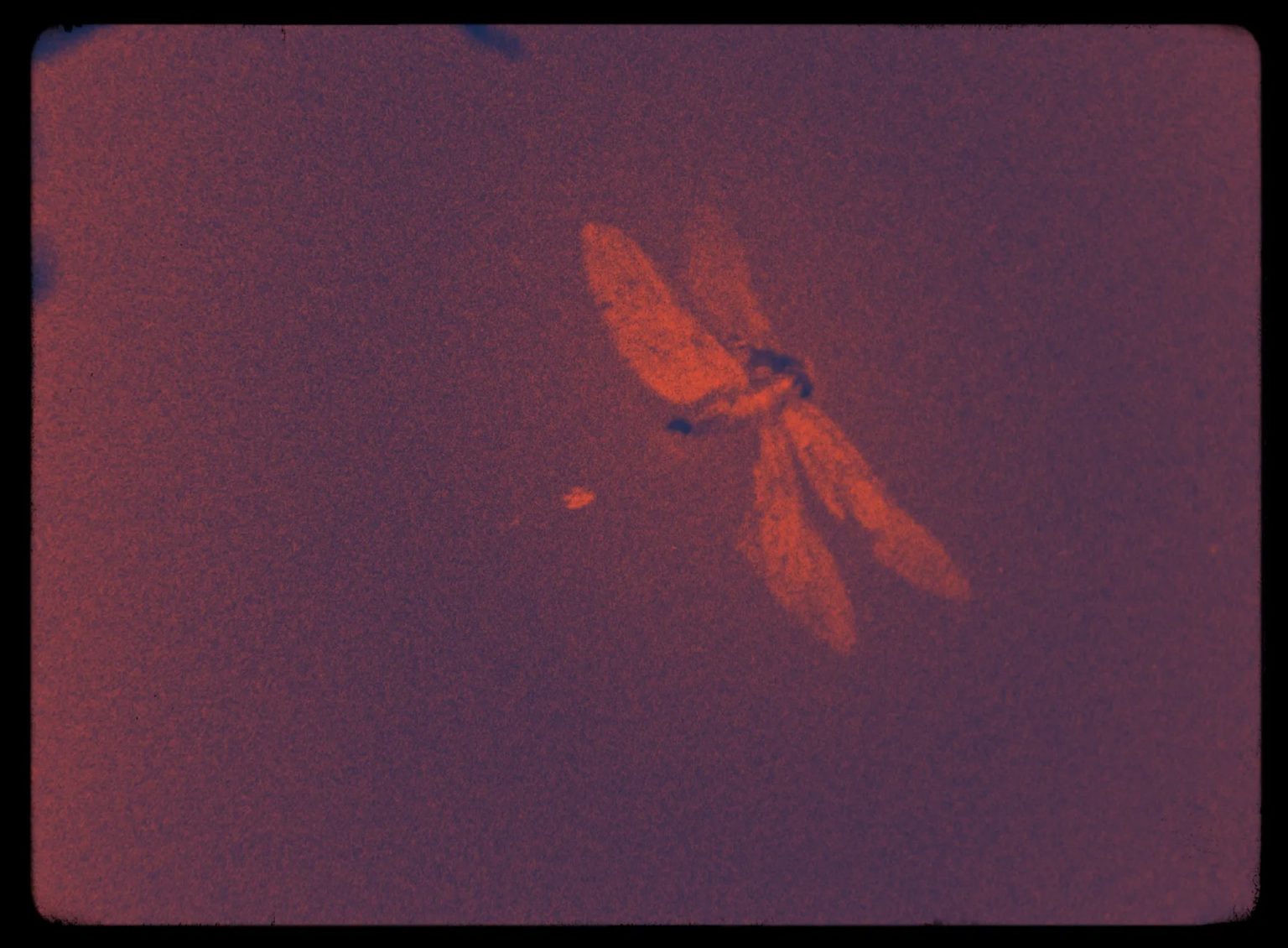 Future Greats 2024: Pooja Gurung & Bibhusan Basnet - ArtReview