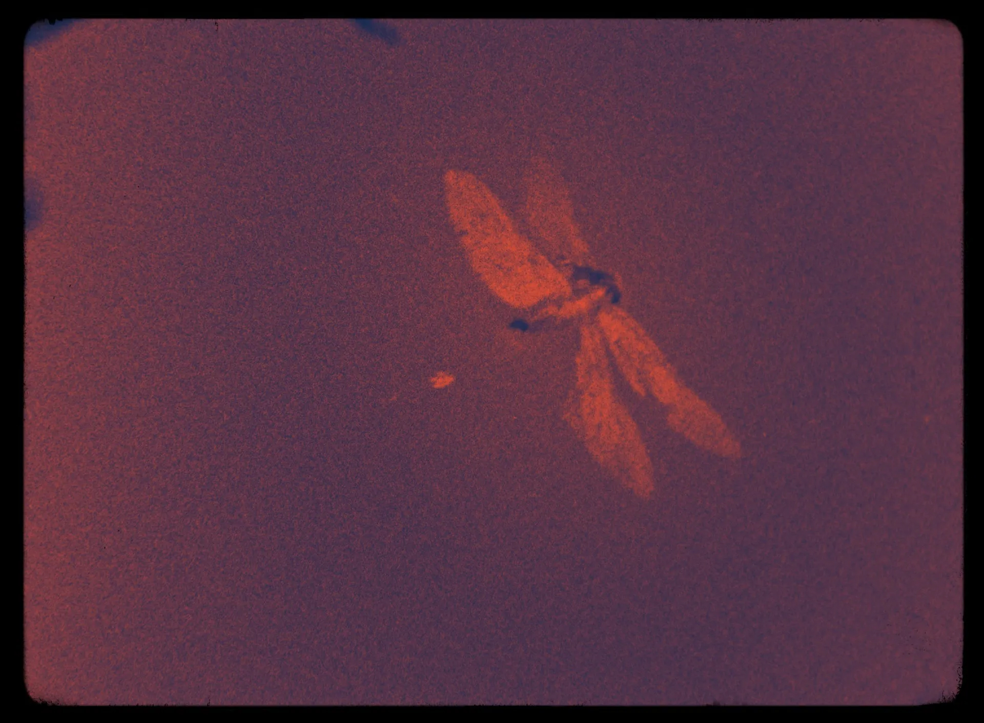 Future Greats 2024: Pooja Gurung & Bibhusan Basnet - ArtReview