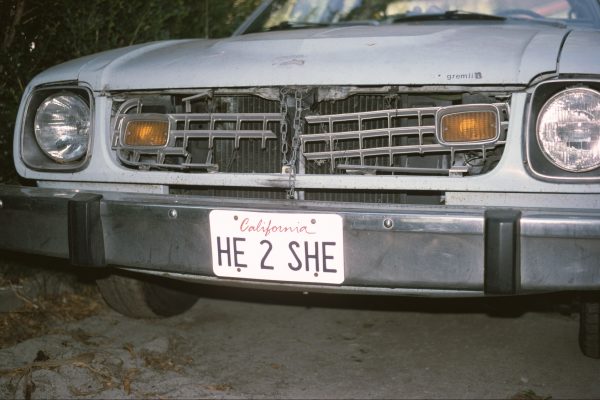 Pippa Garner, skewered car culture and gender rigidity, 1942–2024 ...