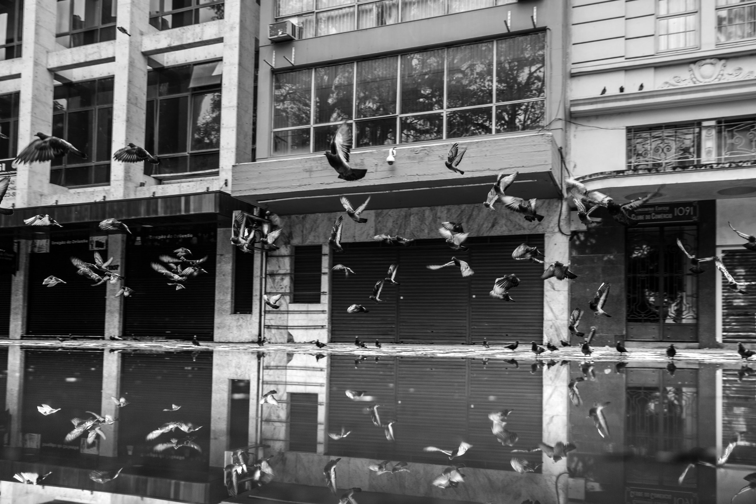 Arts spaces across Rio Grande do Sul shut and mobilise following floods ...