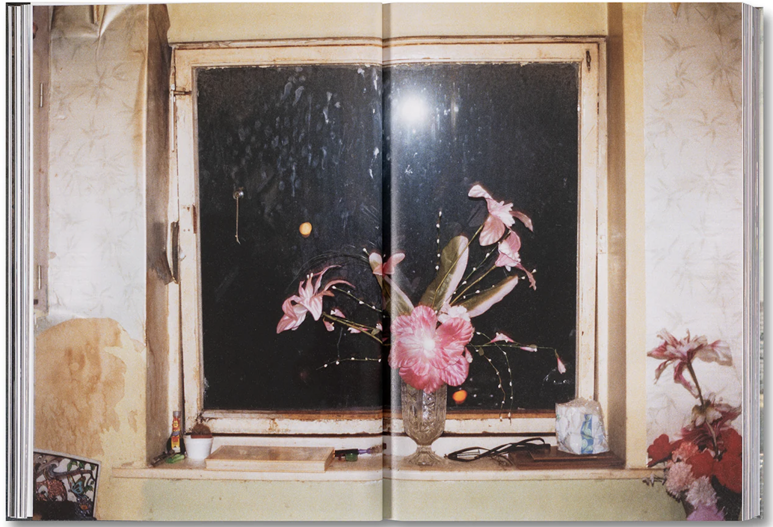 ‘Ray’s a Laugh’ by Richard Billingham Review: Home Truths - ArtReview