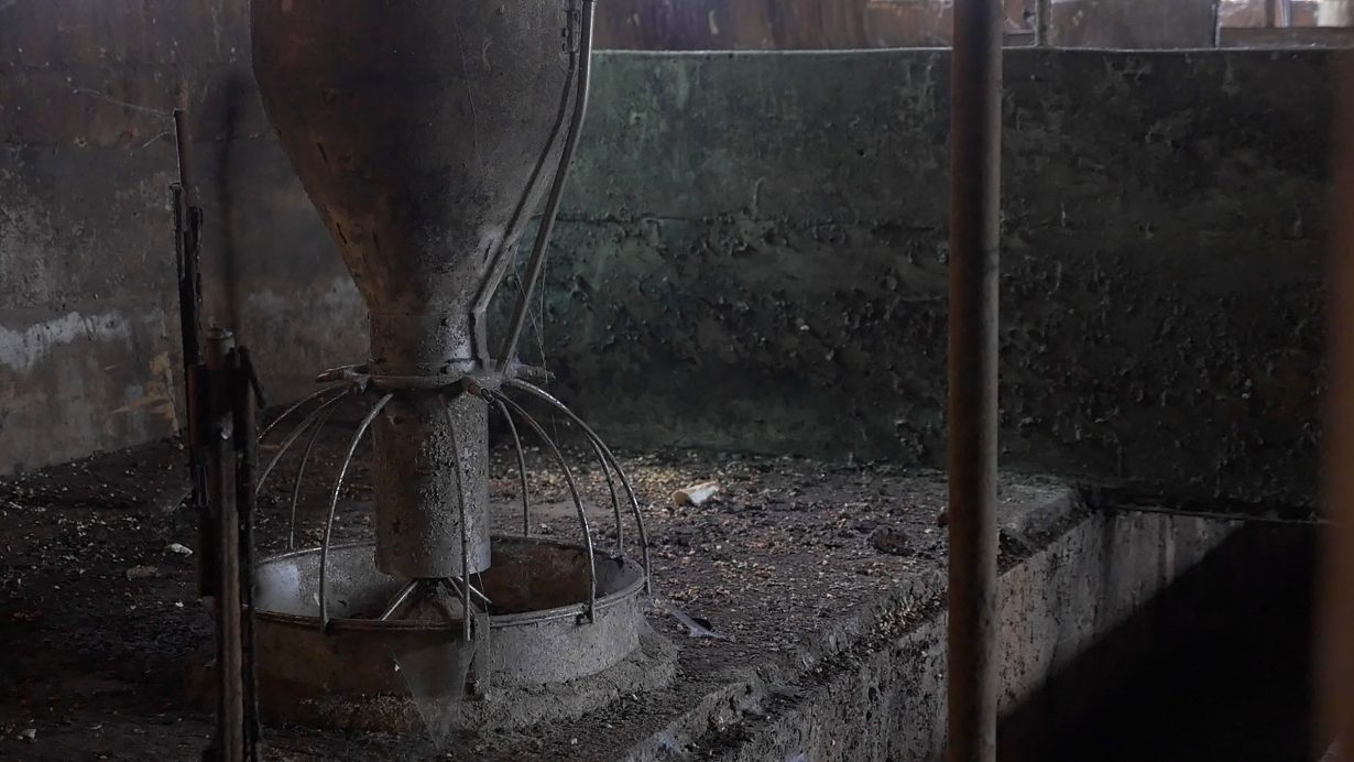 15th Gwangju Biennale Review: Disconcertingly Vague - ArtReview