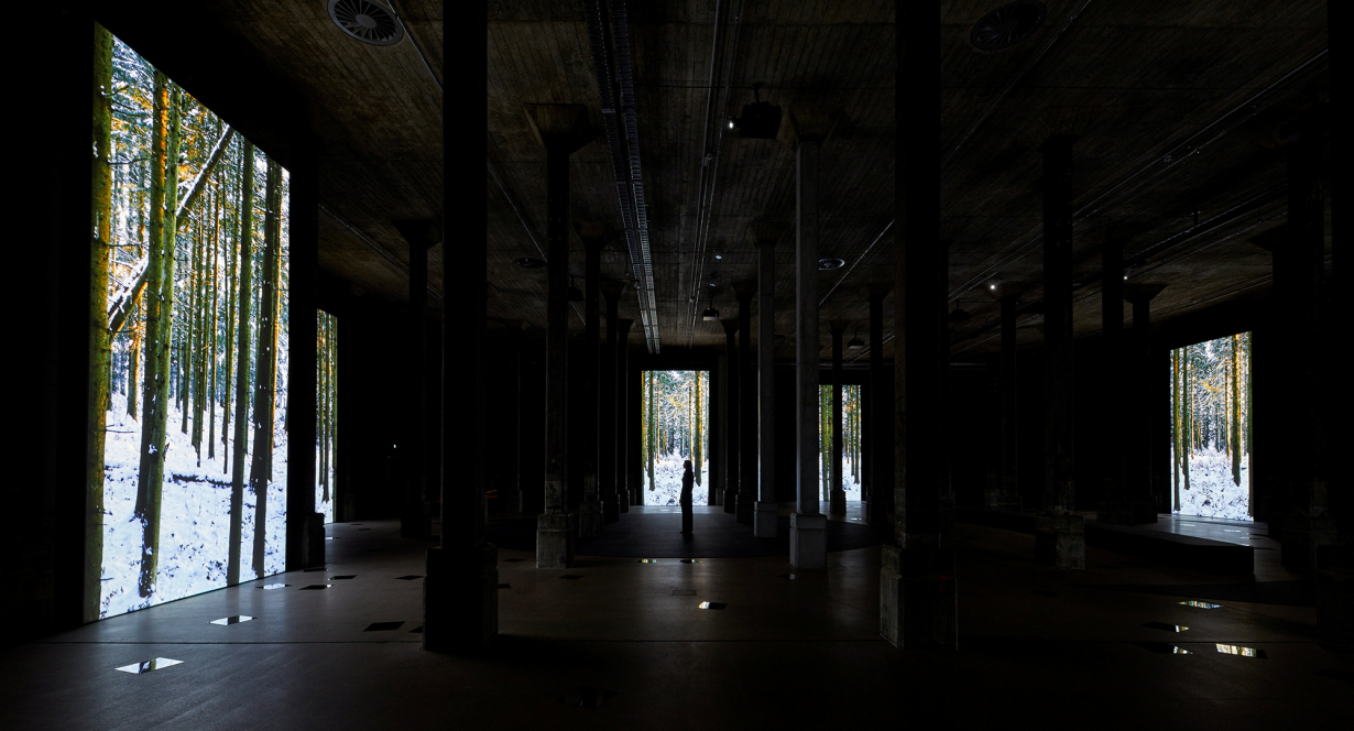 Angelica Mesiti Asks How We Might Realign With Nature - ArtReview