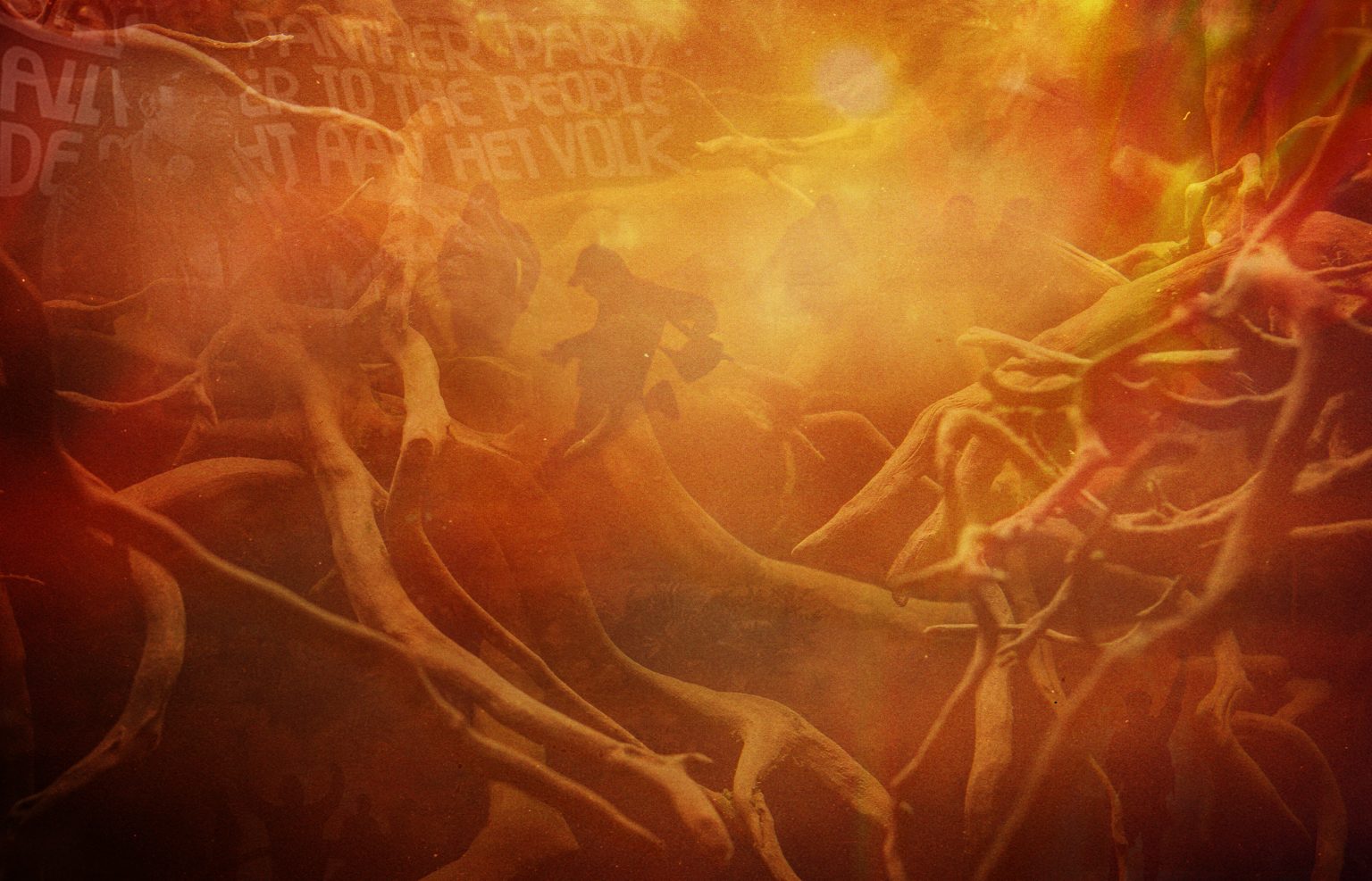 The Cult of A24 - ArtReview