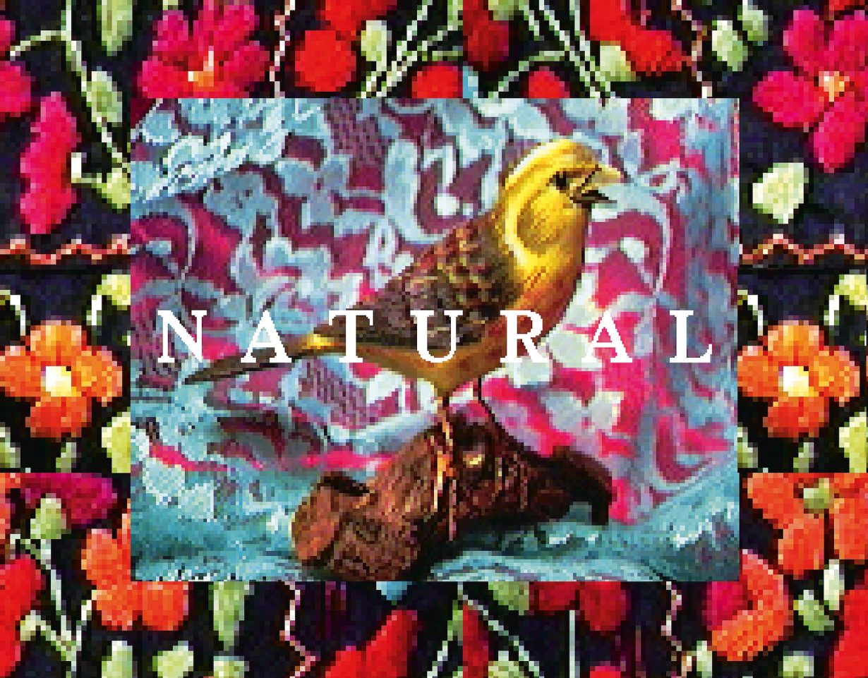 ‘Digital Witness’: How Early Computer Graphics Became Tools for ...