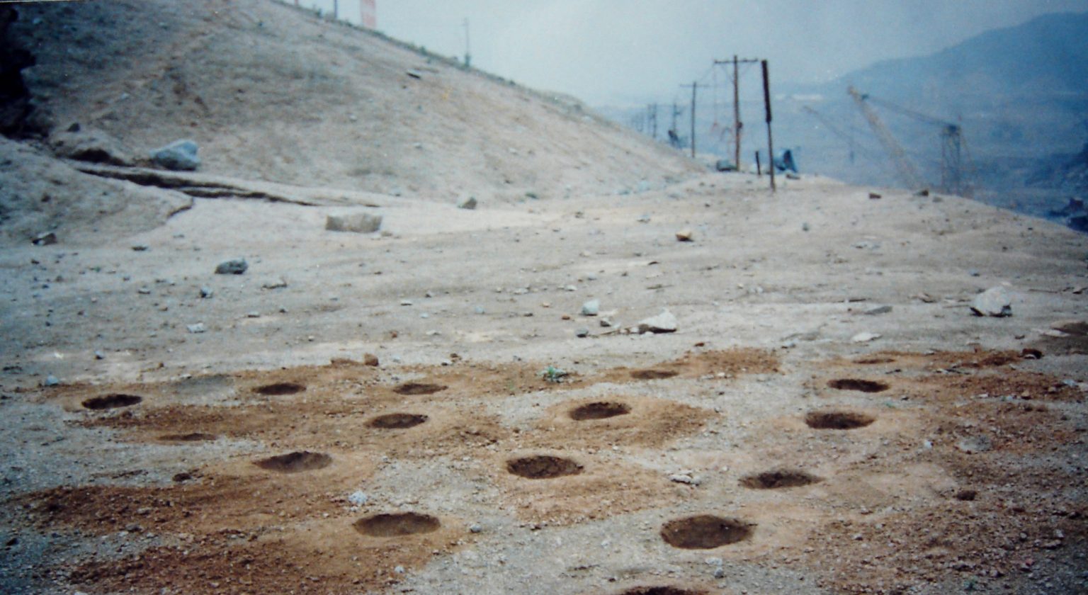 How Chilean Artist Lotty Rosenfeld Created an Enduring Protest Symbol ...