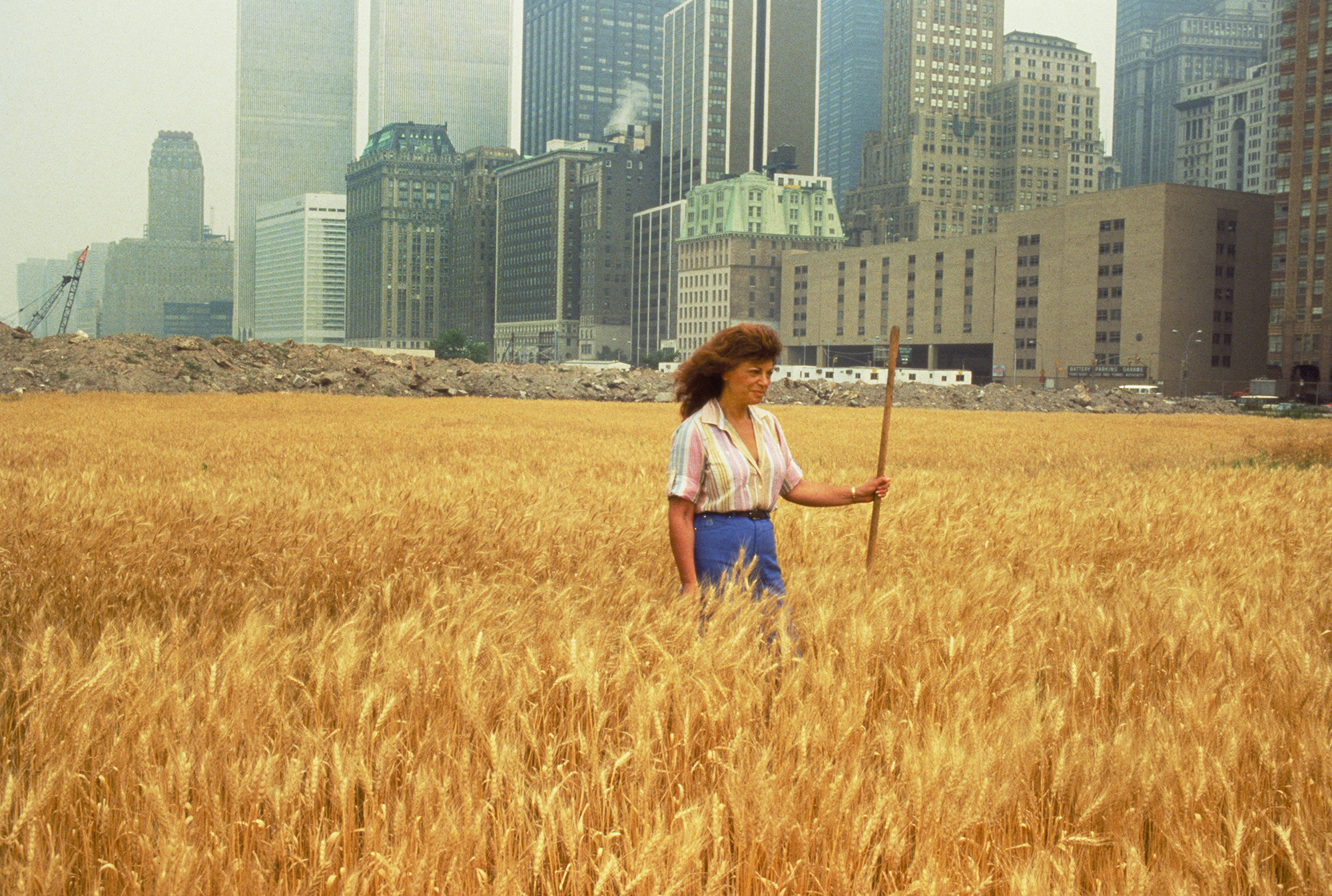 You’re Missing the Point of Agnes Denes’s ‘Wheatfield’ - ArtReview
