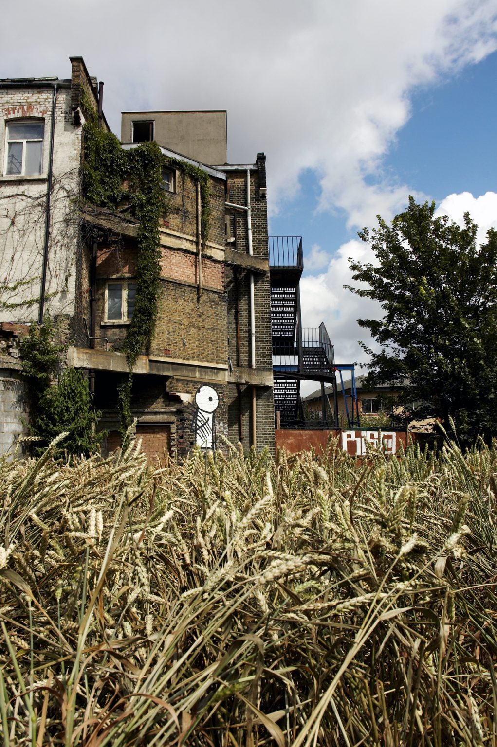 You’re Missing the Point of Agnes Denes’s ‘Wheatfield’ - ArtReview