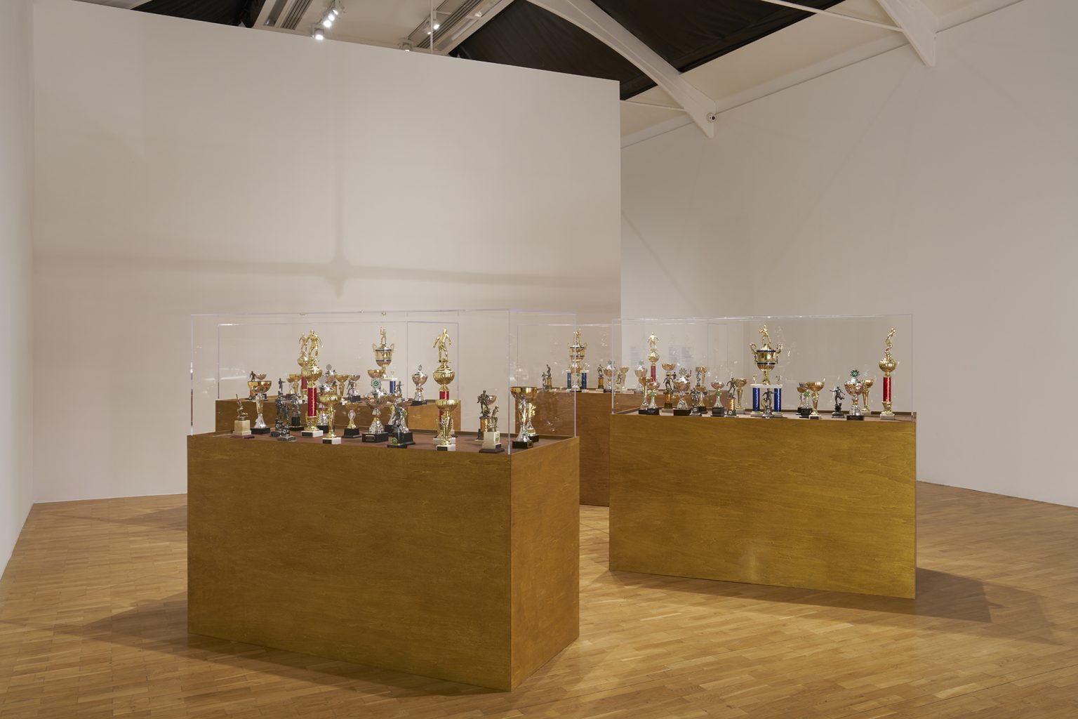 How Donald Rodney Found Refuge for the Black Body - ArtReview