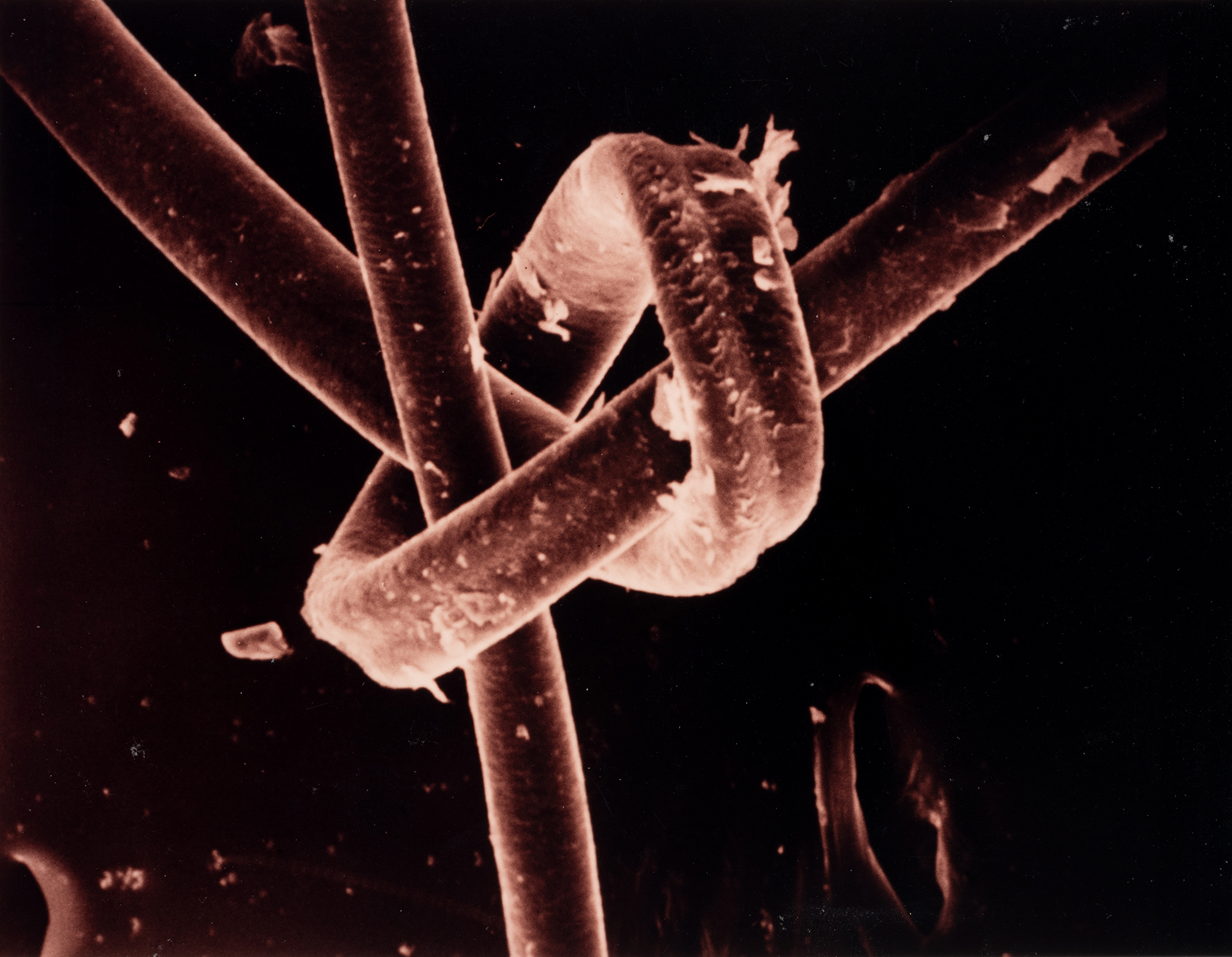 Disability Is Not a Separate Category of Personhood - ArtReview