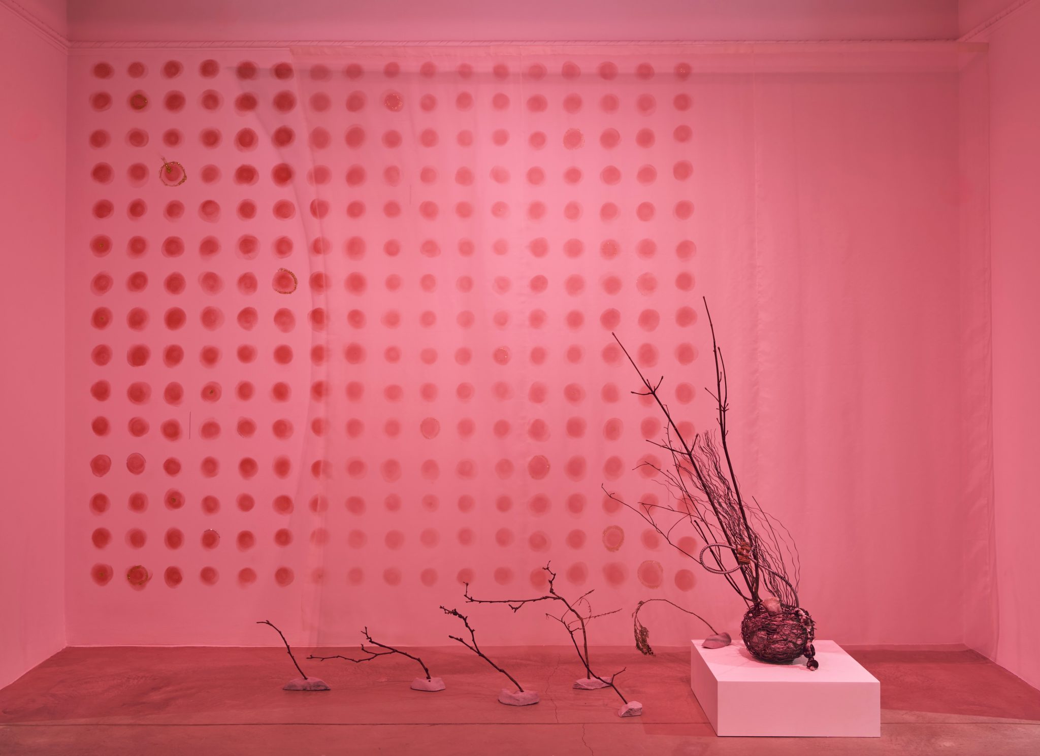 Maren Hassinger and Senga Nengudi: The Long Way Out - ArtReview