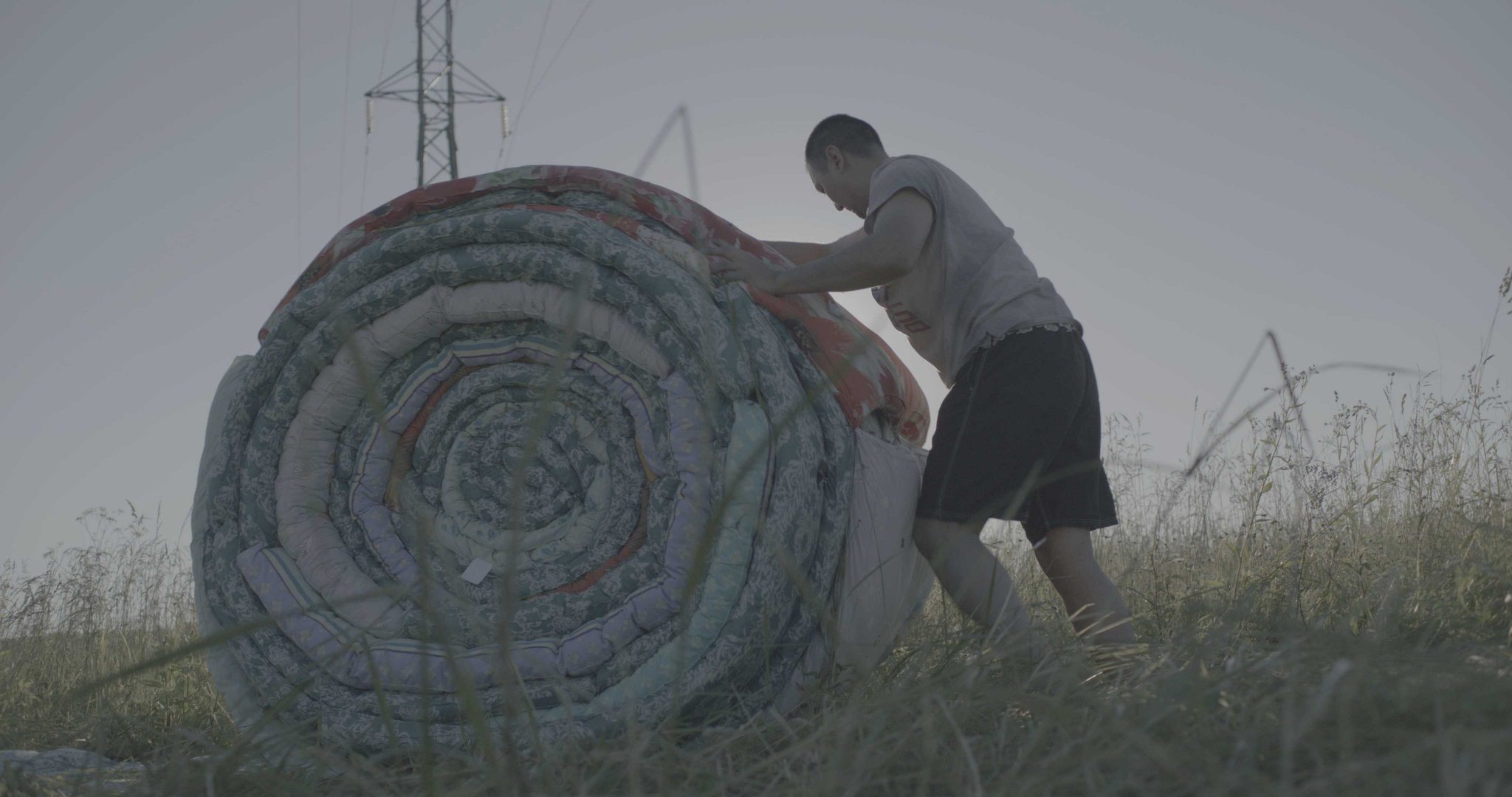 Wang Shu and Lu Wenyu to curate 2027 Venice Architecture Biennale ...