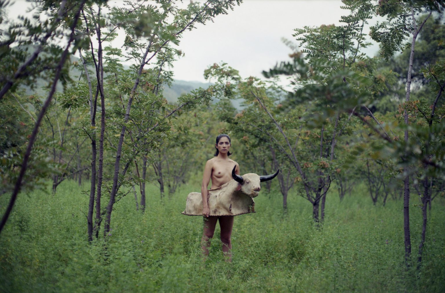 You’re Missing the Point of Agnes Denes’s ‘Wheatfield’ - ArtReview