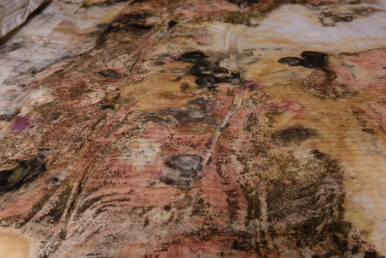 Ana María Devis: What the Body Leaves Behind - ArtReview